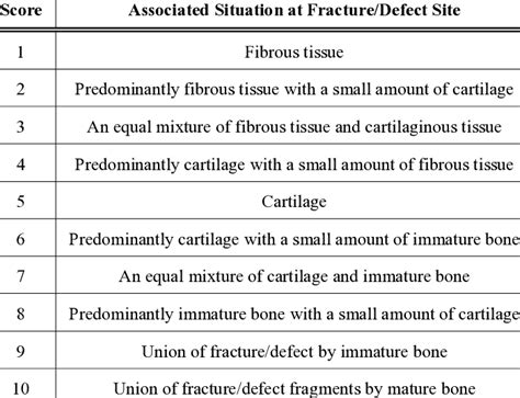 Numerical Scoring Scheme For Histological Evaluation Of Fracturedefect
