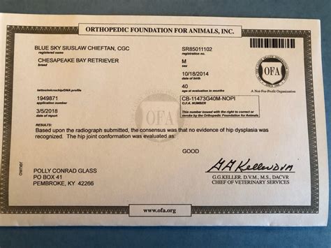 Chief Ofa Hip Certificate Sky Pond Chesapeakes