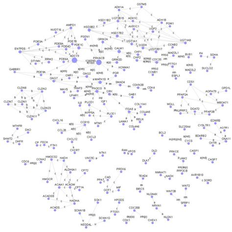 Pathway Relation Network Of Pathways Enriched By Differentially