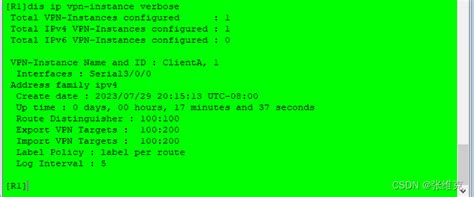 华为数通hcip vpn技术 mpls vpn 南昌华为hcip csdn博客