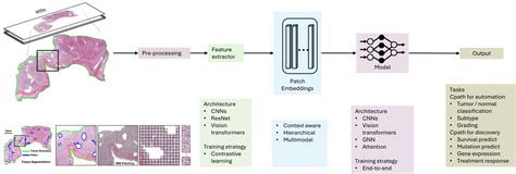 论文审查 Advances In Multiple Instance Learning For Whole Slide Image