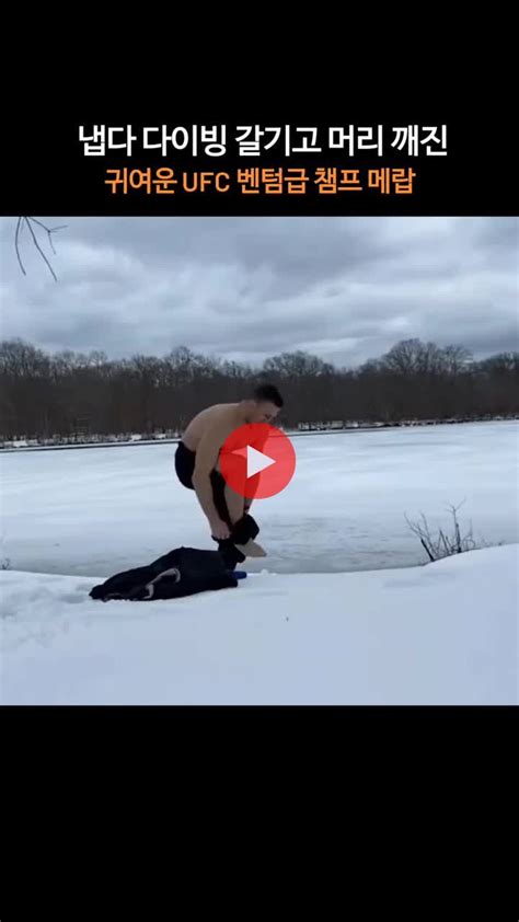 약혐 겨울 다이빙을 조심해야하는 이유 유머 움짤 이슈 에펨코리아