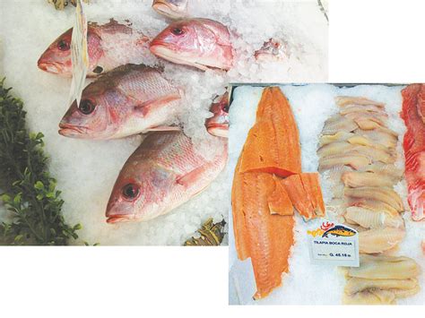 Hepatitis A And Shellfish Responsible Seafood Advocate