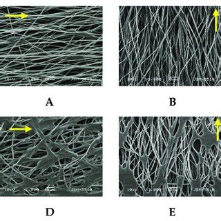 SEM Micrographs Of The Internal Surface In Direction To The Collector Download Scientific
