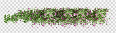 Page 5 Grass Flower Border Psd 8000 High Quality Free Psd Templates For Download