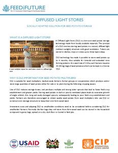 Diffused Light Stores Locally Adapted Solution For Seed Potato Storage ILCYM Website