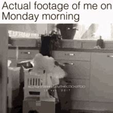 Funny Monday Meme S Tenor
