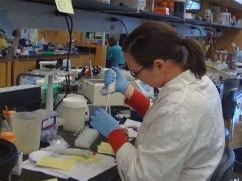 About The Program Unc Md Phd Program About The Program Unc Md Phd Program