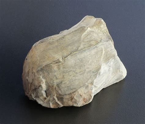 Lithic Core Cast Topgeo