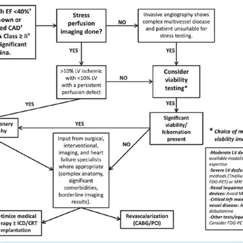 flow diagram illustrating a potential algorithm for use of viability