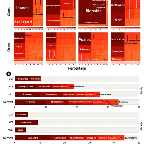 Percentage Of Erroneous Barcode Sequences Ebs At Each Taxon Level Download Scientific