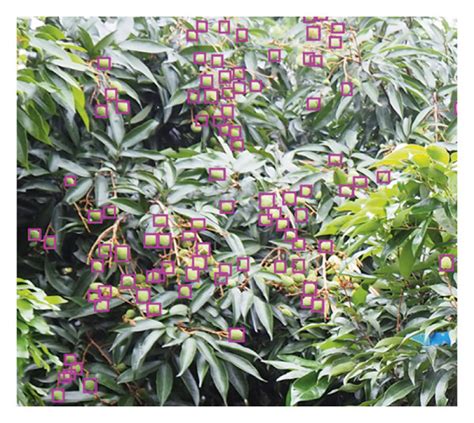 Comparison Of Local Detection Results A Yolov2 And B Yolov3