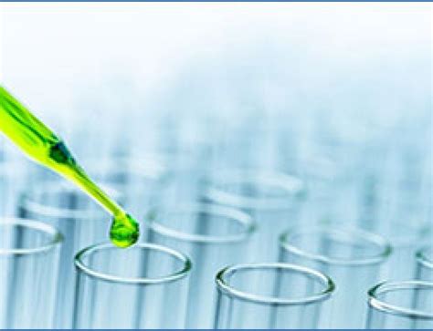 Borzoi Predicting Rna Seq Coverage From Dna Sequence As A Unifying