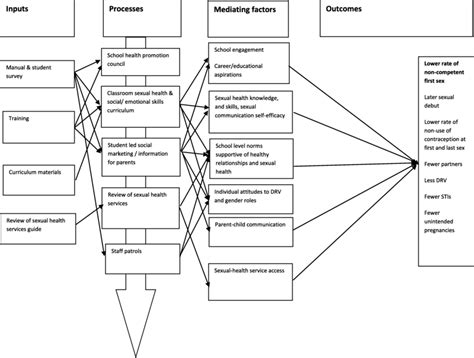 Logic Model Of Positive Choices Download Scientific Diagram