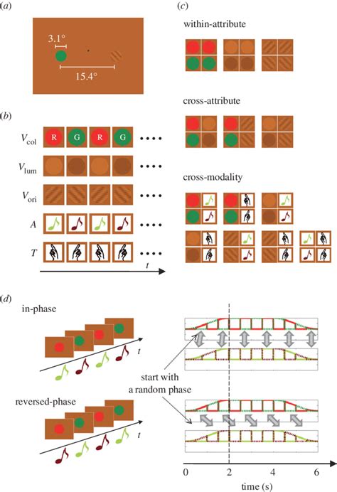Stimuli Used For The Temporal Binding Task A Spatial Configuration Download Scientific