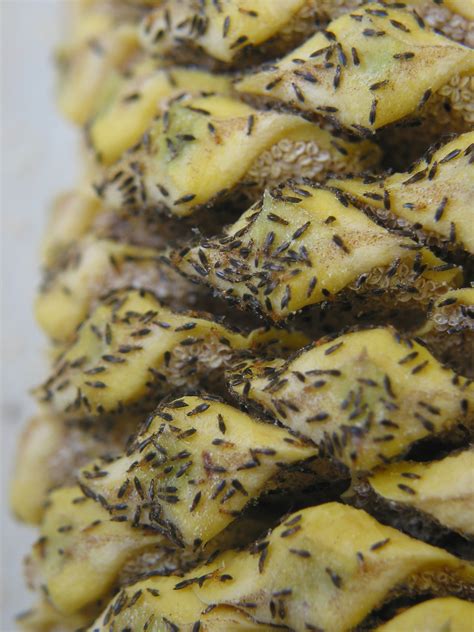 Living Fossiles Having Hot Sex The Sietch Blog