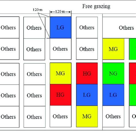 Experimental Design At The Rotational Grazing Site Ng No Grazing