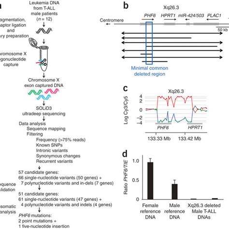 Next Generation Sequencing And Microarray Based Comparative Genomic Download Scientific Diagram