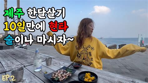 제주 한달살기 열흘만에 현타와서 또 술이야 서귀포 법환포구 포장마차에서 뿔소라에 낮술 때렸습니다 Ep02 Youtube