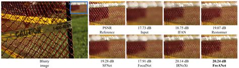 Harnessing Spatial Frequency Information For Enhanced Image Restoration