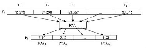Pca Transformation Example Download Scientific Diagram