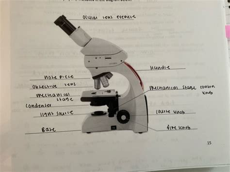 Microbio Lab Exam 1 Flashcards Quizlet