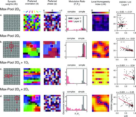 Emergence Of Orientation Maps In The First Layer And Complex Response
