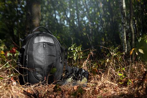 여름 자연을 배경으로 캠핑 배낭과 부츠 트레킹 및 캠핑 모험 하이킹 하이킹 여행 가방에 대한 스톡 사진 및 기타 이미지 가방 관광 관광객 Istock