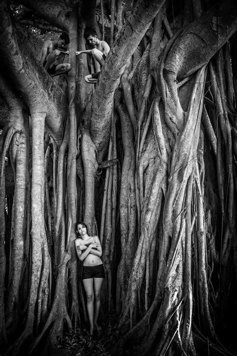 Tree Conected B W On Behance Tree Conected B W On Behance