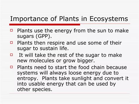 Plant Primary Productivity Laboratory Ppt