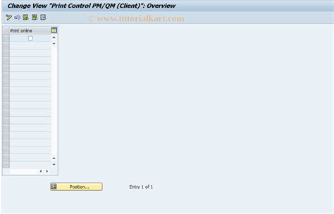 OID6 SAP Tcode Print Control Online Update