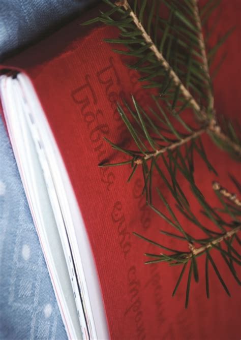 Студенческое портфолио Главная елка страны