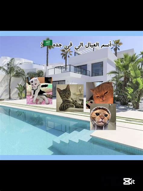 وتش يور نيم 😭 Youtube