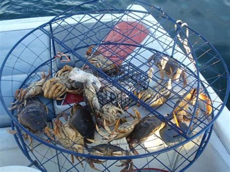 Ldwf Announces Planned Derelict Crab Trap Removal Along Louisiana Coast