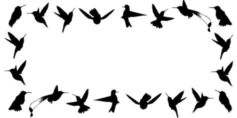 Le Calibre Vecteur Premium