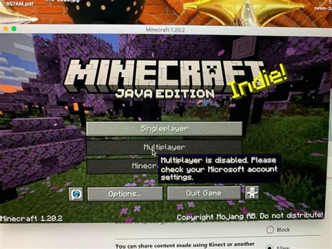 Cant Play Multiplayer R Minecraft