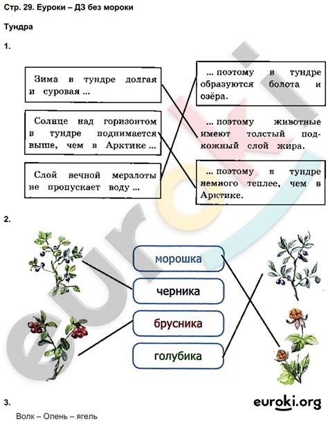 ГДЗ Номер стр. 29 Oкружающий мир 4 класс Тихомирова Рабочая тетрадь