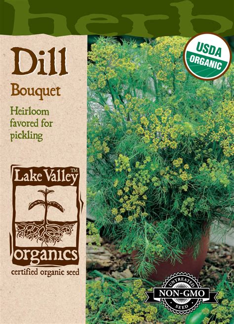 Dill Bouquet Item 659 Lake Valley Seed