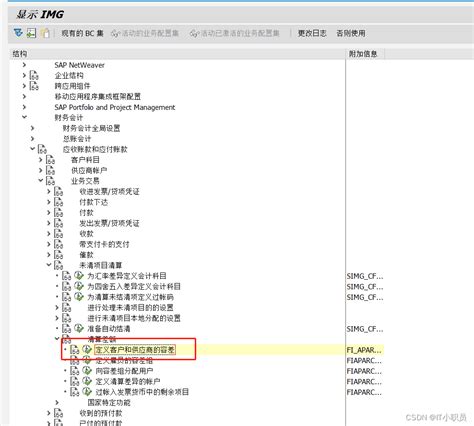 sap s4 fi后台详细配置教程 part5 （应收帐目和应付帐目配置篇） sap 发票应付账款设置 csdn博客