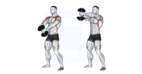 Dumbbell Front Raise Ii Variation Raise