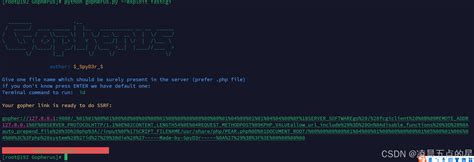 ssrf攻击fastcgi复现及环境搭建 gopherus ssrf 打fastcgi csdn博客