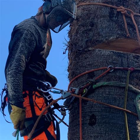 Tbt Podadores De Jalisco
