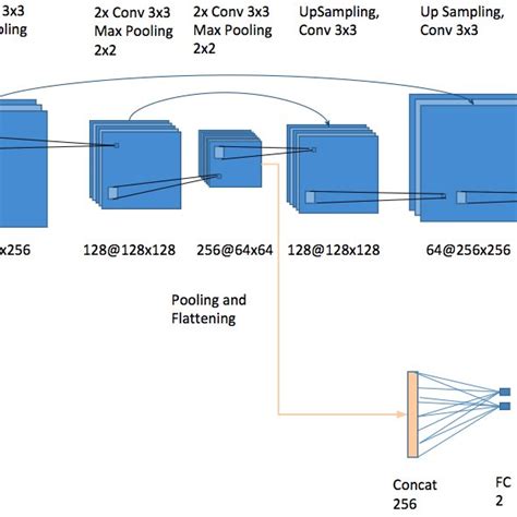 Multi Task Classification And Segmentation The Shared Encoder Learns