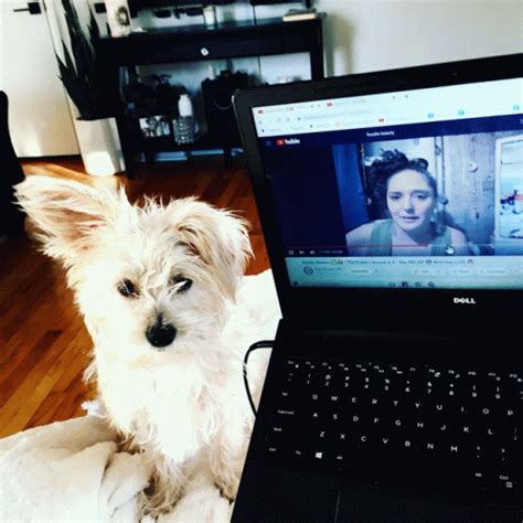 Coco Gif Coco Descubrir Y Compartir Gifs