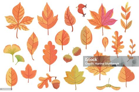 벡터 가을 아이콘 가을 스티커의 큰 세트 나뭇잎 버섯 고슴도치 밤 참나무 도토리 장미 엉덩이 Viburnum 로완 레터링 단풍 나무 씨앗 헤이즐넛 라벨을 붙임에 대한 스톡