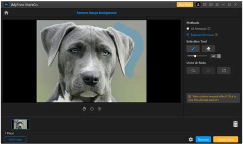Remove Black Background From Image AI BG Remover MarkGo