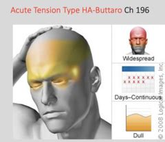 Exam 3 Neuro Quizlet