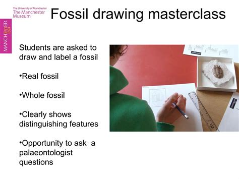 Fossil Drawing Masterclass PPT