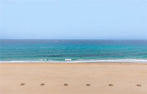 The Singer Oceanfront Resort Curio Collection By Hilton Desde 3785