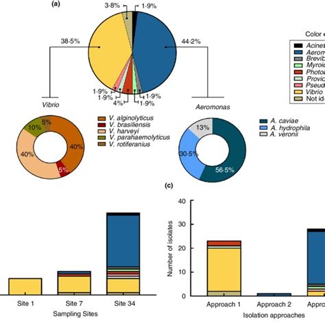 Maldi Tof Ms Identification A Overall Eight Bacterial Genera Were Download Scientific